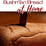 Outback Steakhouse Honey Wheat Bushman Bread Recipe - Secret Copycat ...