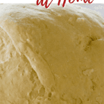 Domino's Pizza Parmesan Asiago Pizza Dough Recipe - Secret Copycat ...