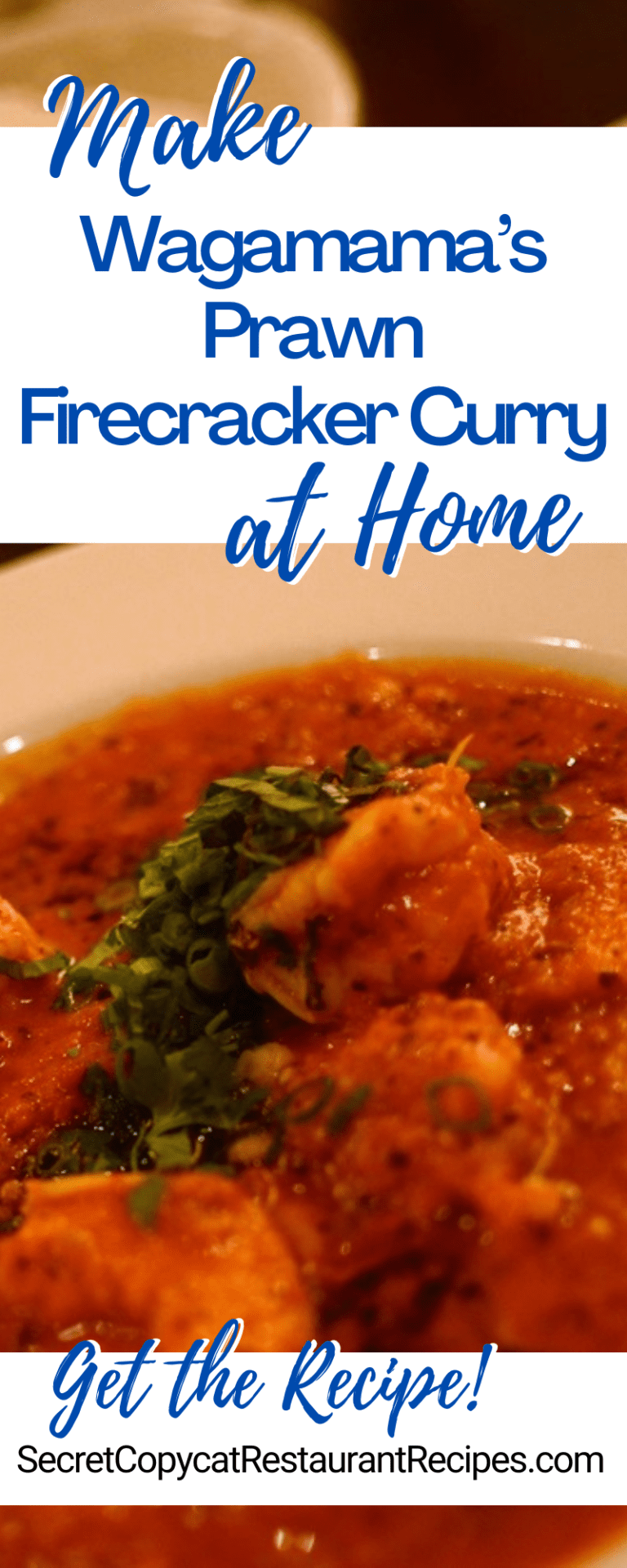 Wagamama Prawn Firecracker Curry Recipe - Secret Copycat Restaurant Recipes