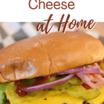 Carl's Jr. Famous Star Burger with Cheese Recipe - Secret Copycat ...